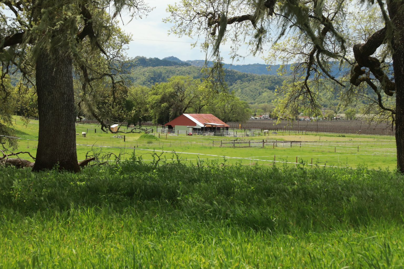 Red Barn – Twining Pastures